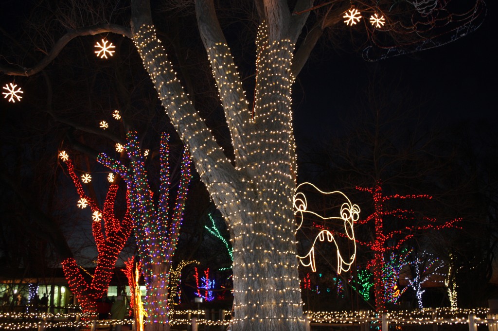 Let there be lights! Enjoy the animals and Christmas cheer at annual ...